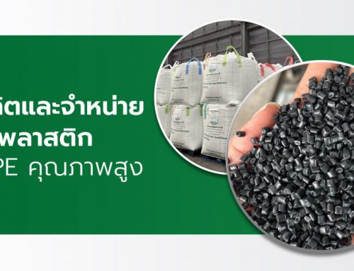 วิธีเลือกขนาดถุงขยะให้พอดีกับถังขยะ | inseegold