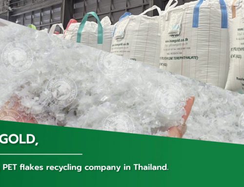 Pioneering PET Flakes Manufacturer in Thailand | inseegold