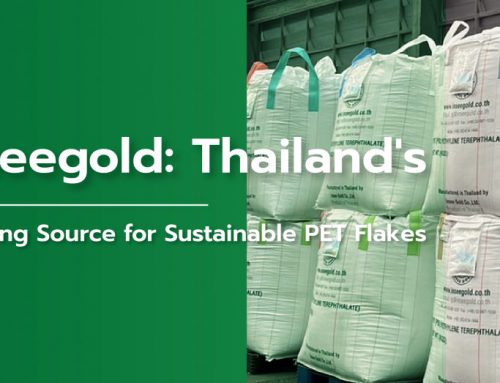 Pioneering PET Flakes Manufacturer in Thailand | inseegold