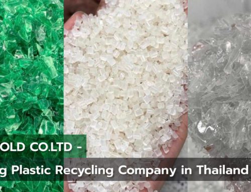 Inseegold : The top PET flake supplier in Thailand | inseegold
